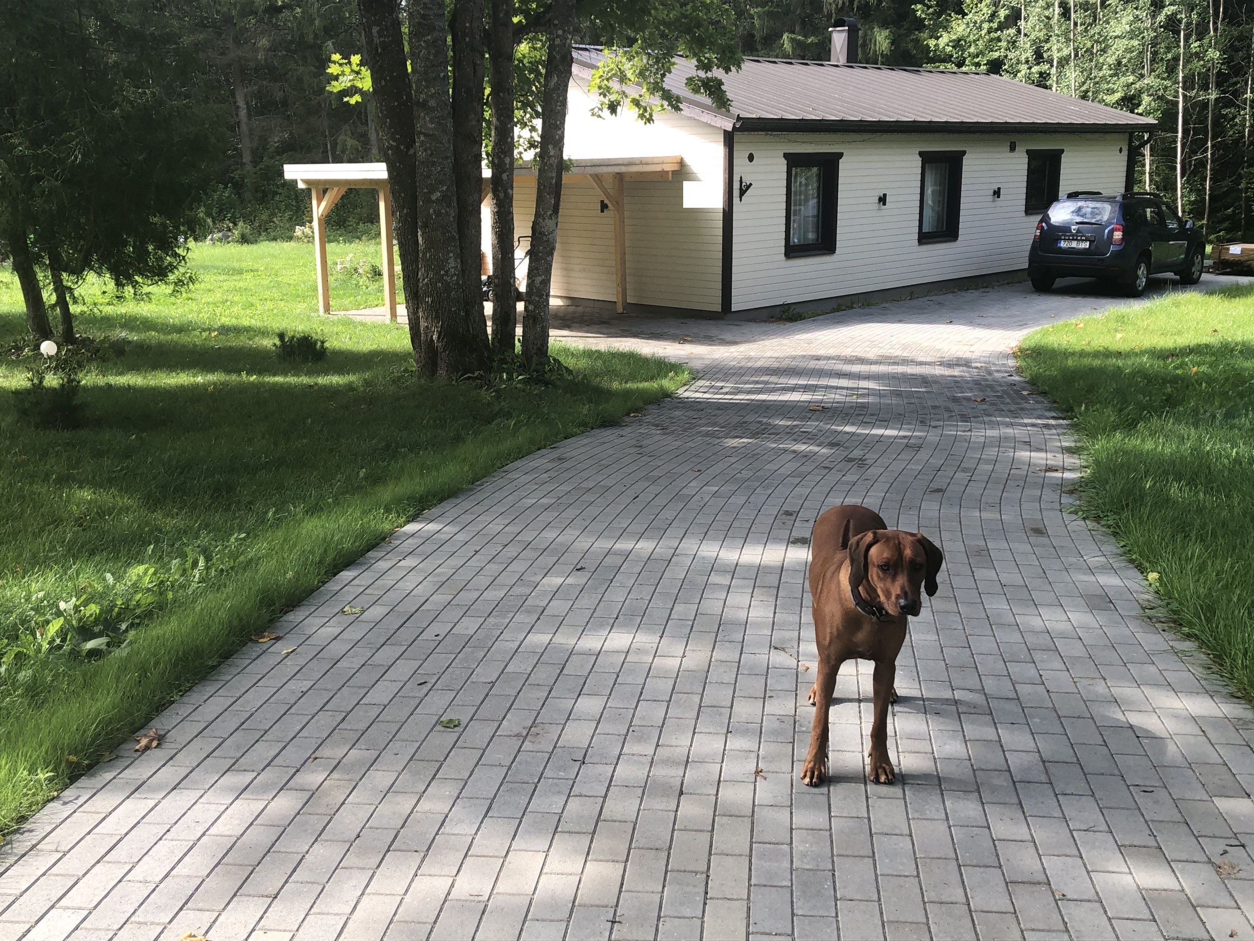 garaaži ehitus - Hange.ee